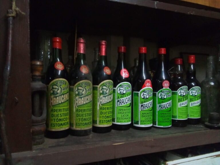 Bebidas chilenas: 12 tragos típicos | Entre Chile