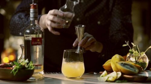 Bebidas chilenas: 12 tragos típicos | Entre Chile