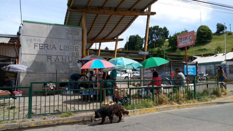 10 lugares para visitar en Osorno | Entre Chile