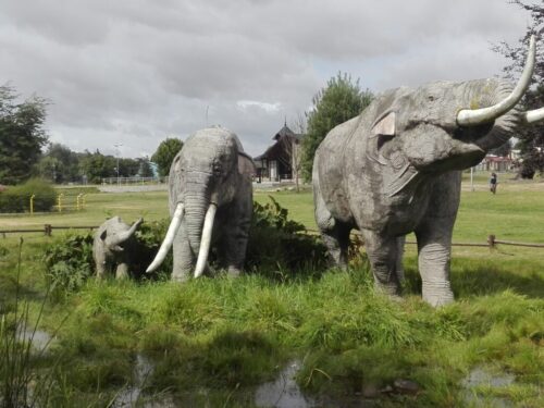 10 lugares para visitar en Osorno | Entre Chile