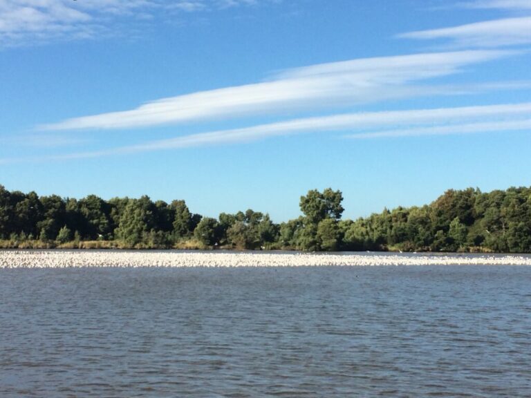 7 lugares turísticos de la región del Bio Bio | Entre Chile