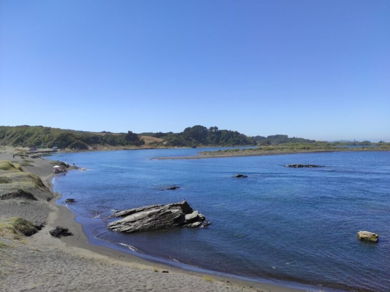 Que hacer en Concepción: 20 mejores cosas | Entre Chile