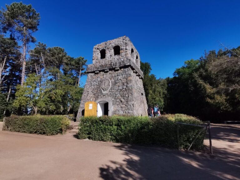 Que hacer en Concepción: 20 mejores cosas | Entre Chile