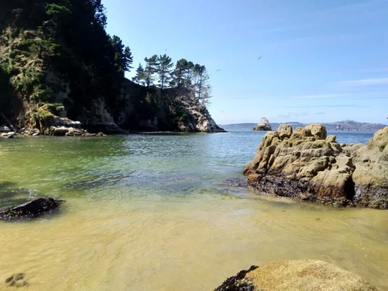 Que hacer en Concepción: 20 mejores cosas | Entre Chile