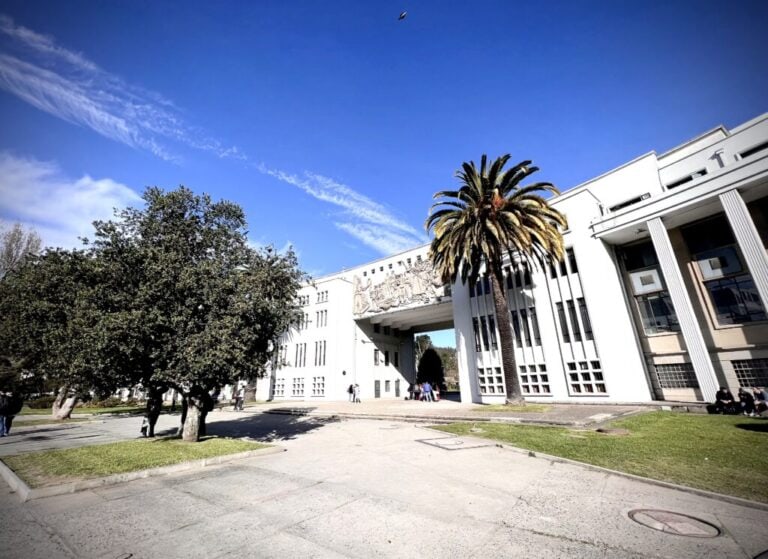 Que hacer en Concepción: 20 mejores cosas | Entre Chile