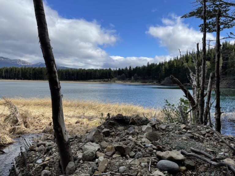 Que hacer en Coyhaique: 8 mejores cosas | Entre Chile