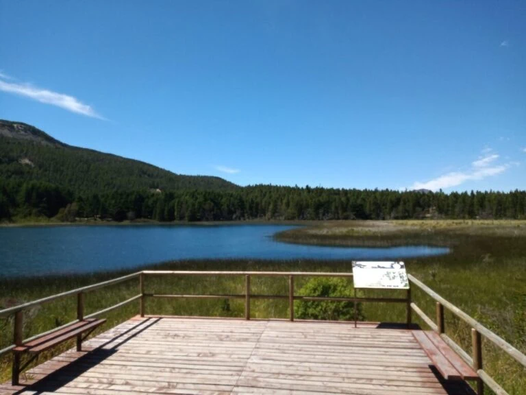 Que hacer en Coyhaique: 8 mejores cosas | Entre Chile