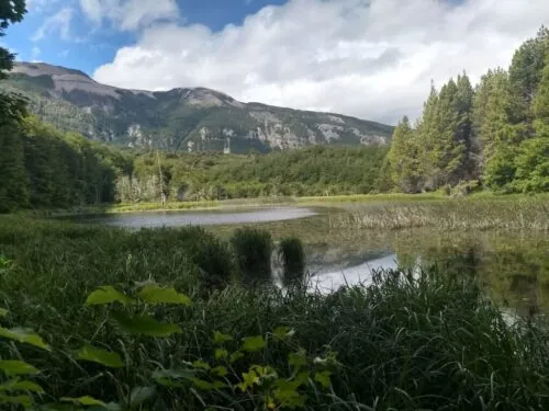 Que hacer en Coyhaique: 8 mejores cosas | Entre Chile