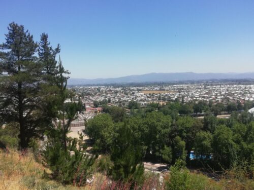 Que hacer en Curicó: 9 mejores cosas | Entre Chile