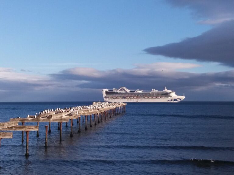 Que hacer en Punta Arenas: 22 mejores cosas | Entre Chile