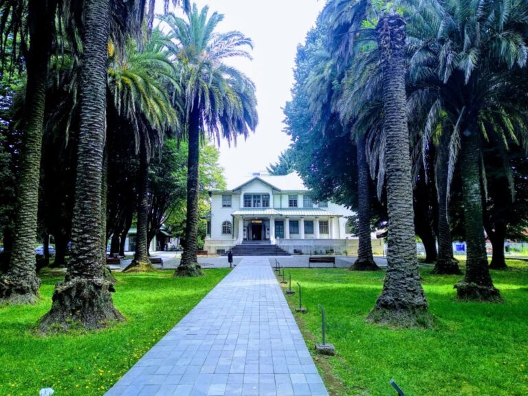 Que hacer en Temuco: 11 mejores cosas | Entre Chile