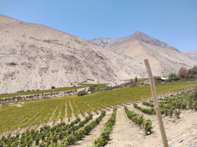 Que hacer en Valle del Elqui: 12 mejores cosas | Entre Chile